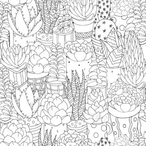 Free SUCCULENT Coloring Pages for Download (Printable PDF) - VerbNow