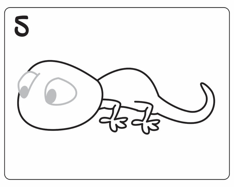 How to Draw a Lizard in 6 Easy Steps