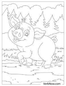 Free PIG Coloring Pages for Download (Printable PDF)
