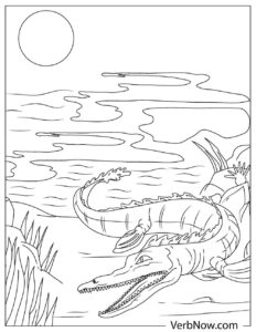 Free ALLIGATOR Coloring Pages for Download (Printable PDF)