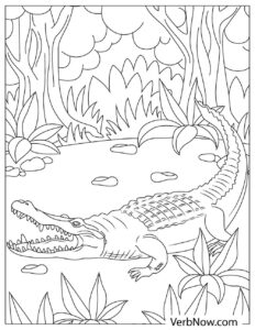 Free ALLIGATOR Coloring Pages for Download (Printable PDF)