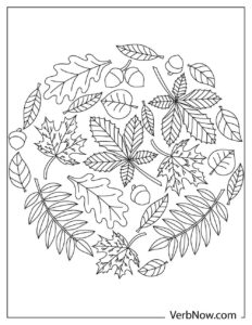 Free LEAVES Coloring Pages for Download (Printable PDF)