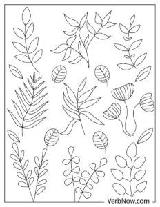 Free LEAVES Coloring Pages for Download (Printable PDF)