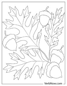 Free LEAVES Coloring Pages for Download (Printable PDF)