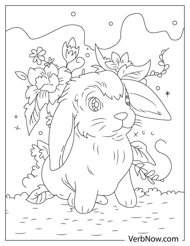Rabbit15 - VerbNow