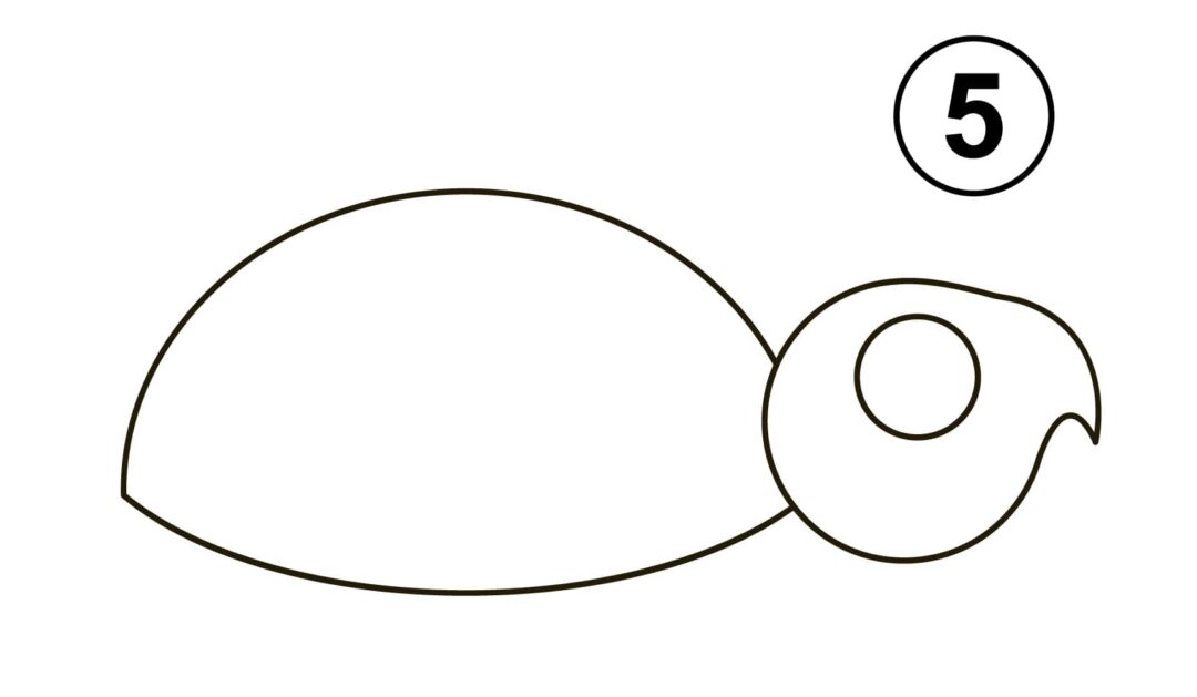 How to Draw a Turtle with 3 Easy Drawing Tutorials