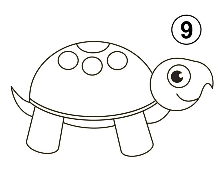 How to Draw a Turtle (3 Drawing Tutorials) - VerbNow