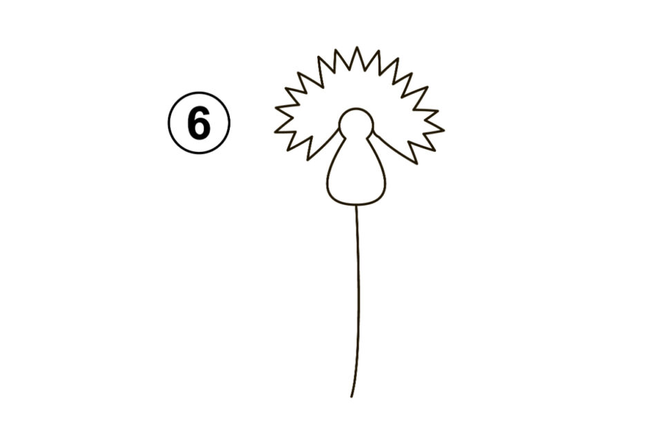 How to Draw a Cornflower in 9 Easy Steps
