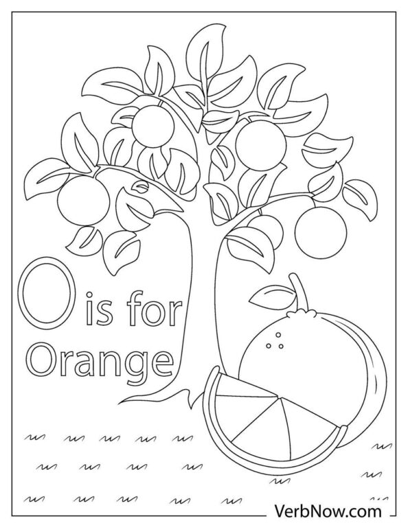 Free ORANGE Coloring Pages for Download (Printable PDF)