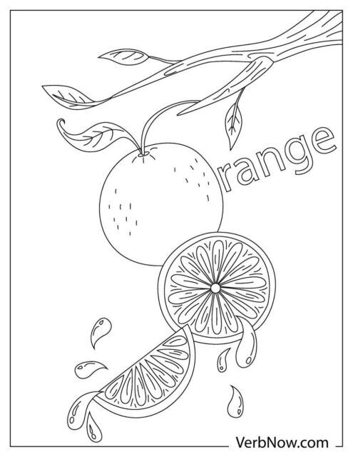 Free ORANGE Coloring Pages for Download (Printable PDF)
