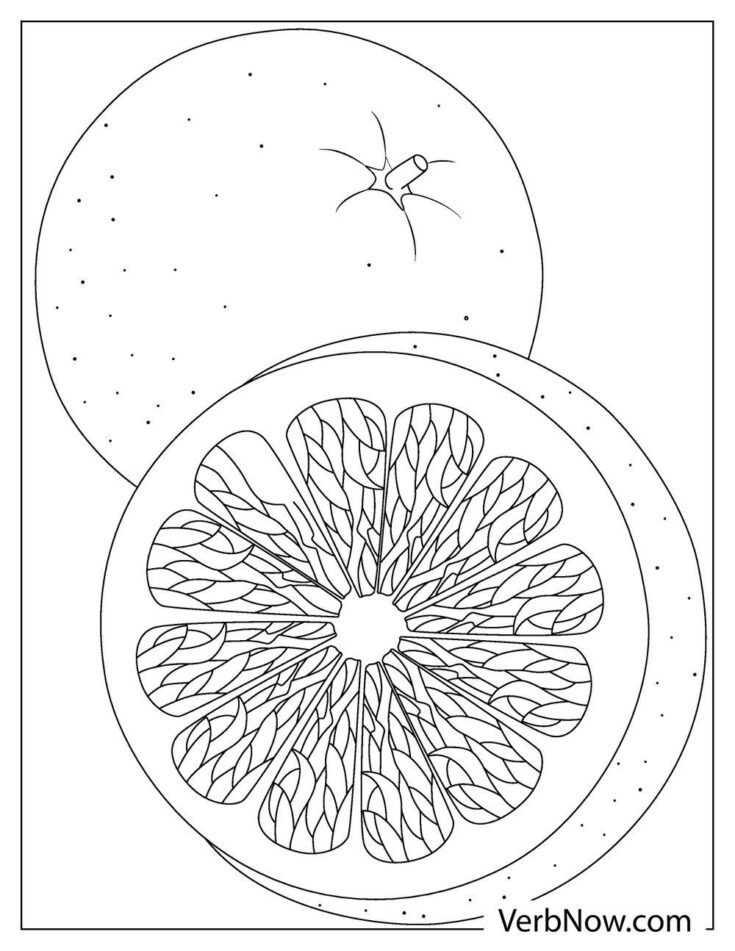 Free ORANGE Coloring Pages for Download (Printable PDF)