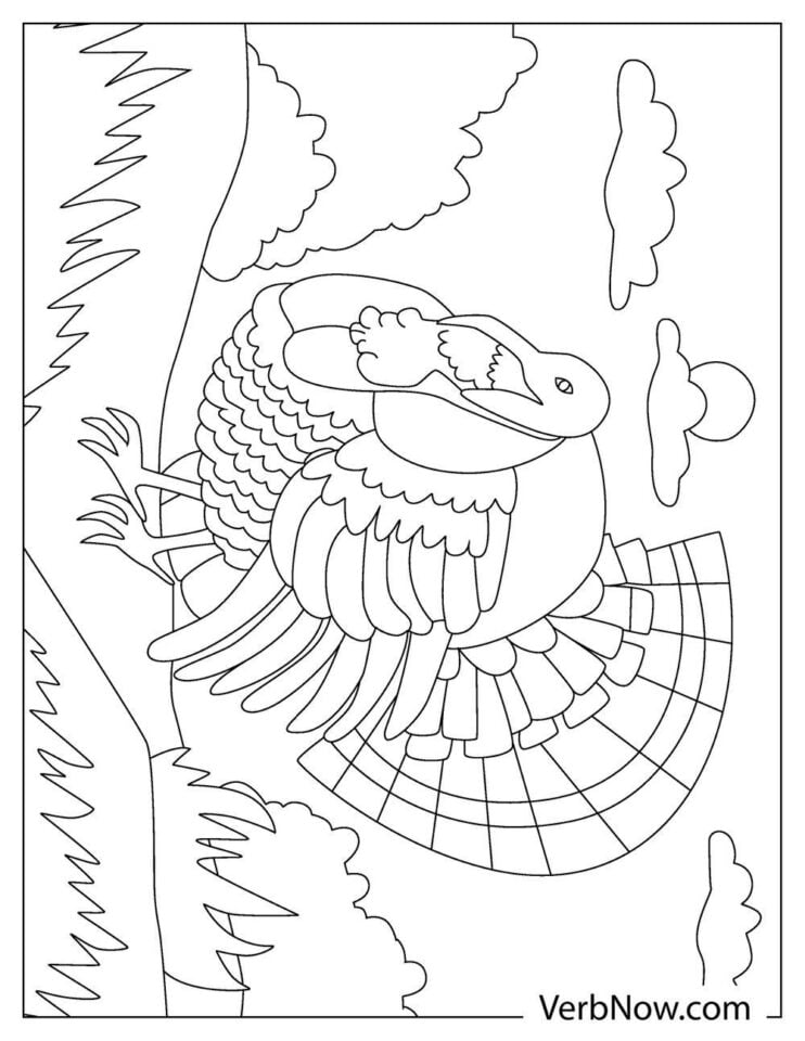 Free TURKEY Coloring Pages for Download (Printable PDF)