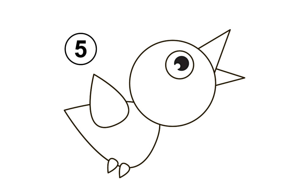 How to Draw a Bird in 8 Easy Steps (for Kids)