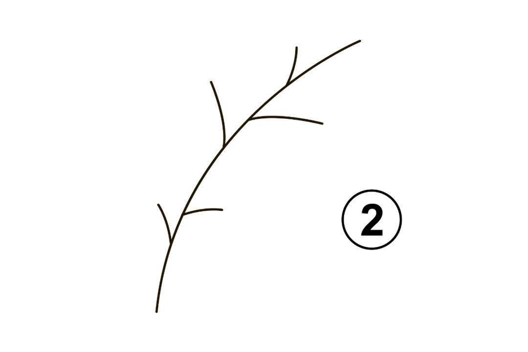 How to Draw a Bluebell in 9 Easy Steps
