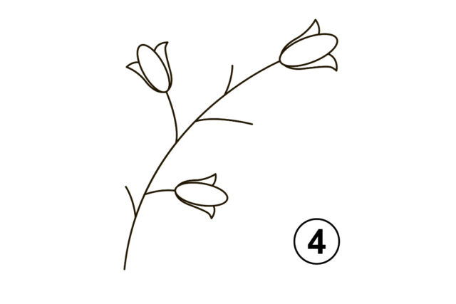 How to Draw a Bluebell in 9 Easy Steps