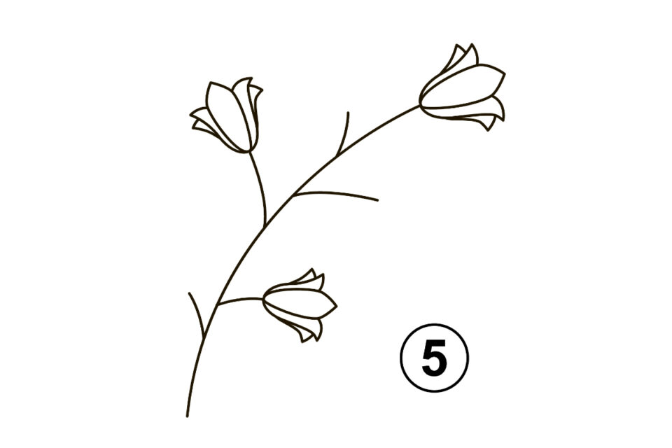 How to Draw a Bluebell in 9 Easy Steps