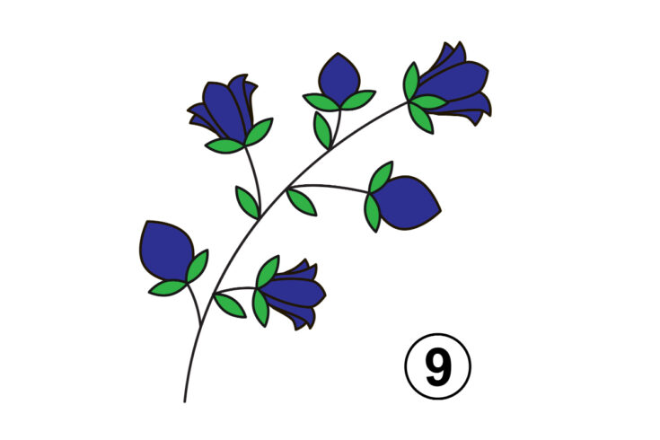 How to Draw a Bluebell in 9 Easy Steps
