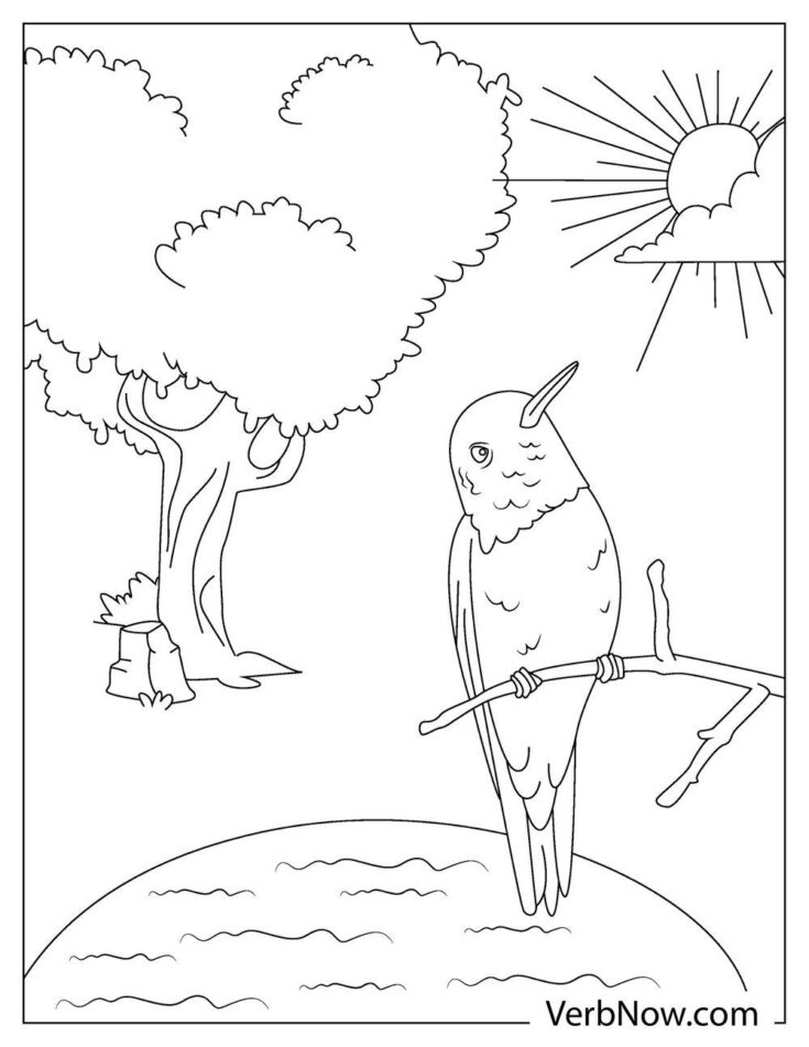 Free HUMMINGBIRD Coloring Pages for Download (Printable PDF)