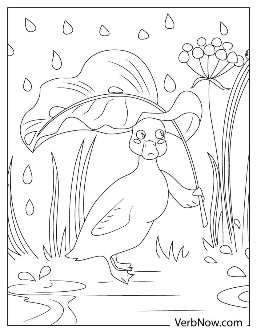 Free RAIN Coloring Pages for Download (Printable PDF)
