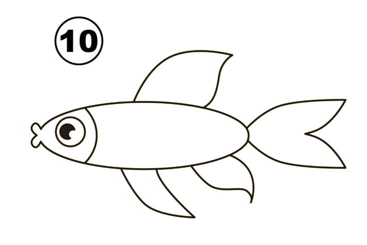 How to Draw a Blue Fish in 12 Easy Steps - VerbNow