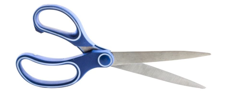 19 Popular Types of Scissors