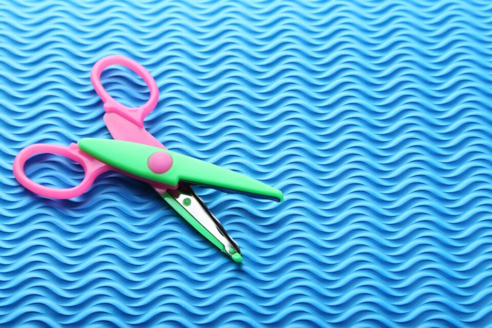 19 Popular Types of Scissors