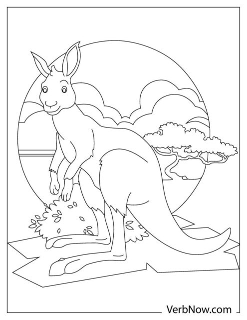 Free KANGAROO Coloring Pages for Download (Printable PDF)
