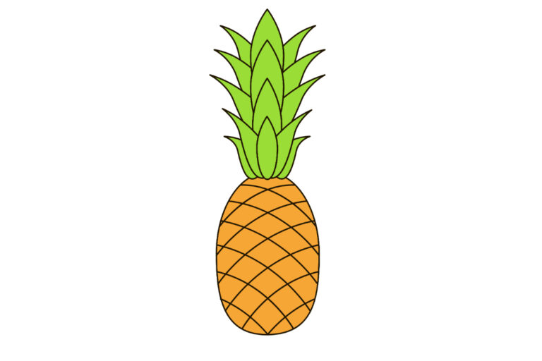 How to Draw a Pineapple in 11 Easy Steps