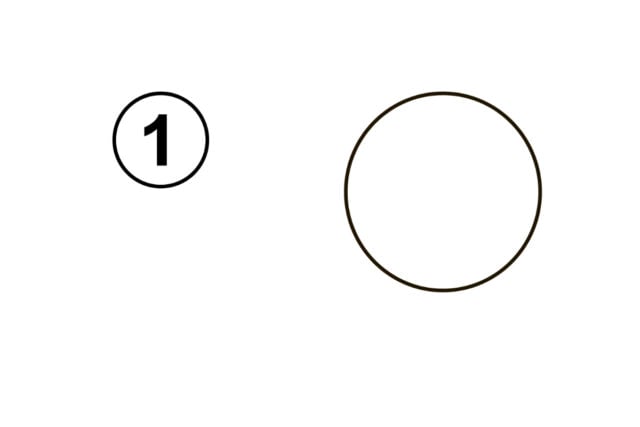 How to Draw a Slug in 9 Easy Steps