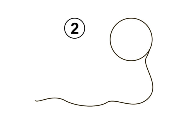 How to Draw a Slug in 9 Easy Steps