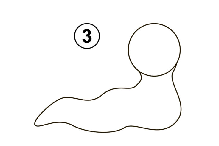 How to Draw a Slug in 9 Easy Steps
