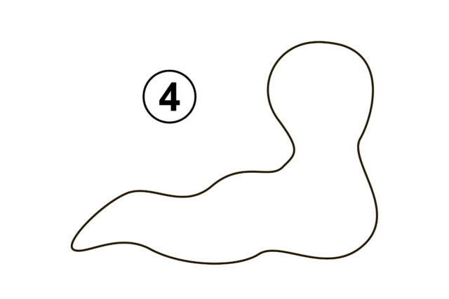 How to Draw a Slug in 9 Easy Steps