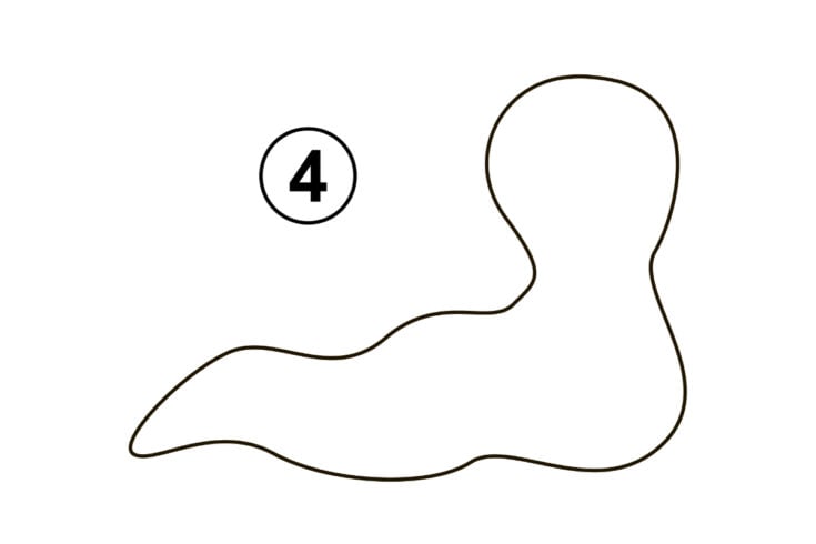 How to Draw a Slug in 9 Easy Steps