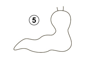 How to Draw a Slug in 9 Easy Steps