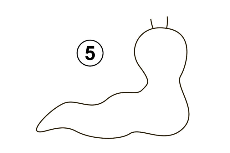 How to Draw a Slug in 9 Easy Steps