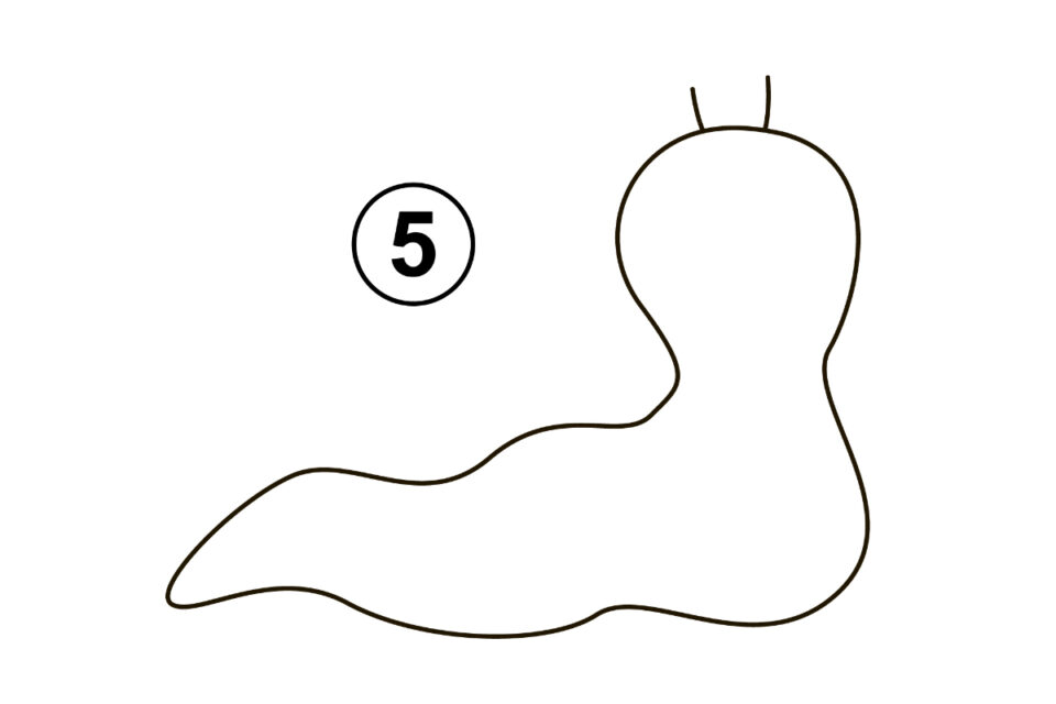 How to Draw a Slug in 9 Easy Steps