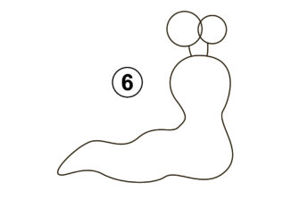 How to Draw a Slug in 9 Easy Steps
