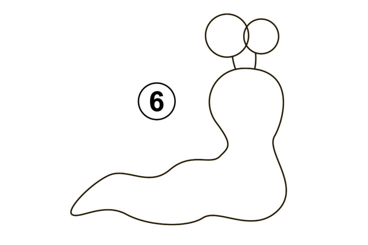 How to Draw a Slug in 9 Easy Steps