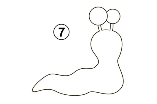 How to Draw a Slug in 9 Easy Steps