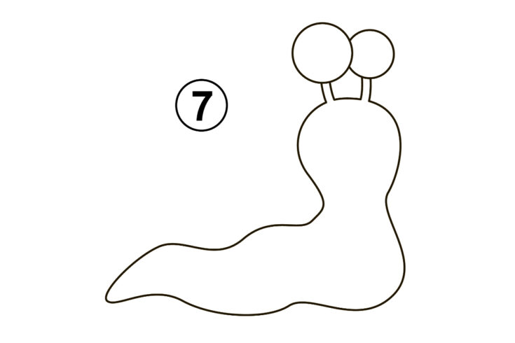 How to Draw a Slug in 9 Easy Steps