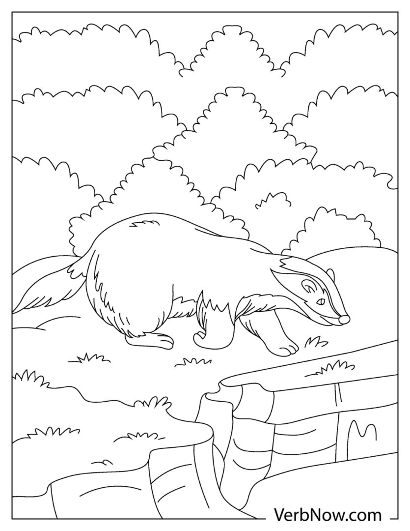 Free BADGER Coloring Pages for Download (Printable PDF)