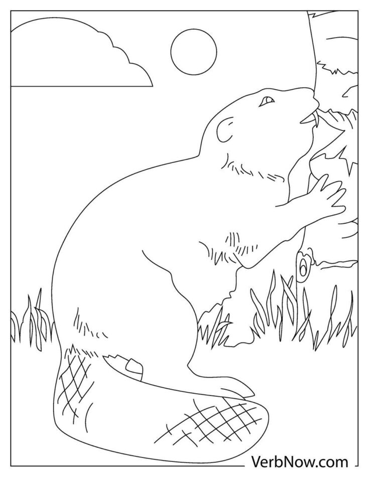Free BEAVER Coloring Pages & Book for Download (Printable PDF) - VerbNow