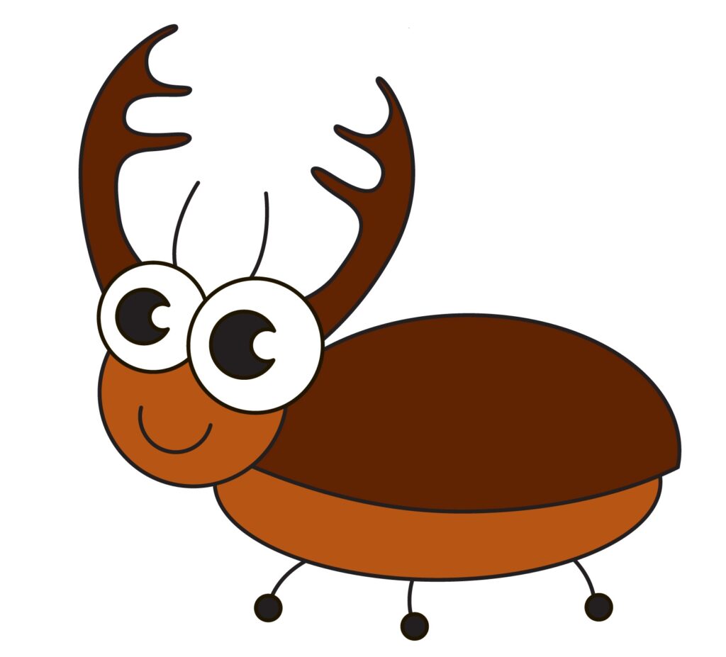 How to Draw a Beetle in 13 Easy Steps