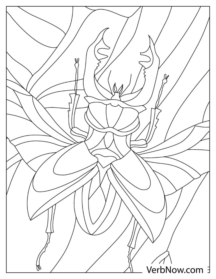Free BEETLE Coloring Pages for Download (Printable PDF)