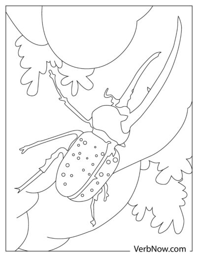 Free BEETLE Coloring Pages for Download (Printable PDF)