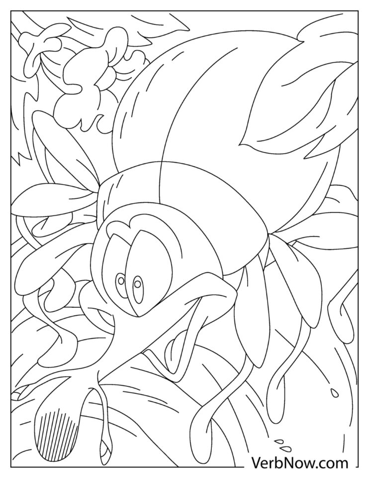 Free BEETLE Coloring Pages for Download (Printable PDF)