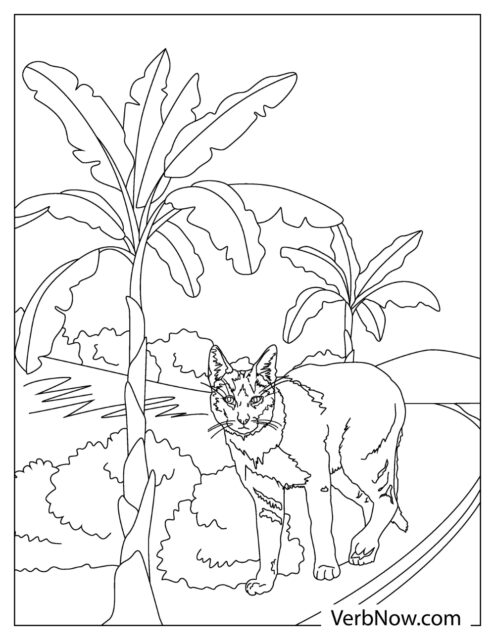 Free BOBCAT Coloring Pages for Download (Printable PDF)