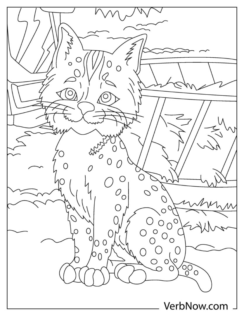 Free BOBCAT Coloring Pages for Download (Printable PDF)