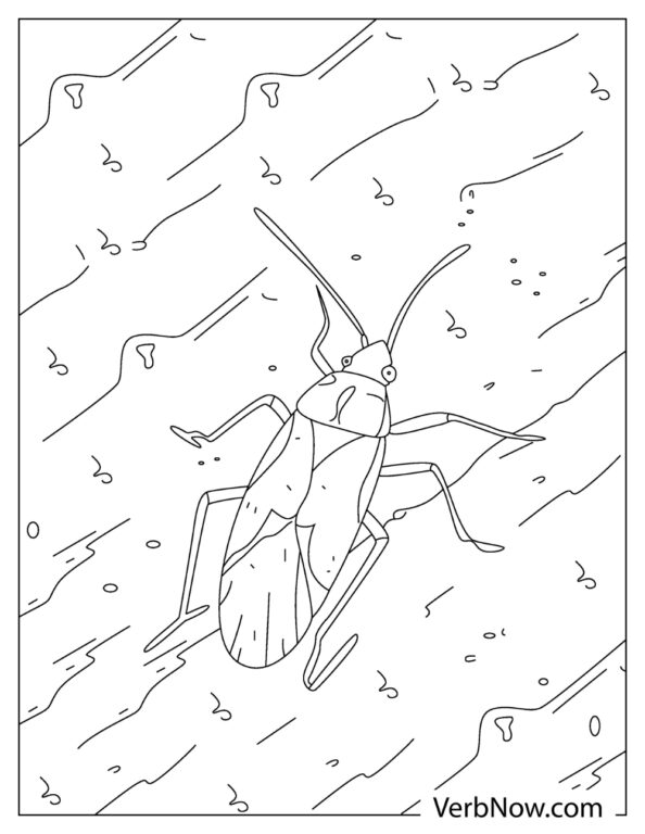 Free Cockroach Coloring Pages for Download (Printable PDF)