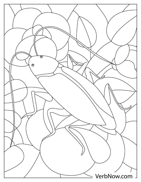 Free Cockroach Coloring Pages for Download (Printable PDF)